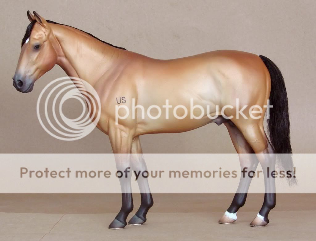 Dances With Wolves Cisco