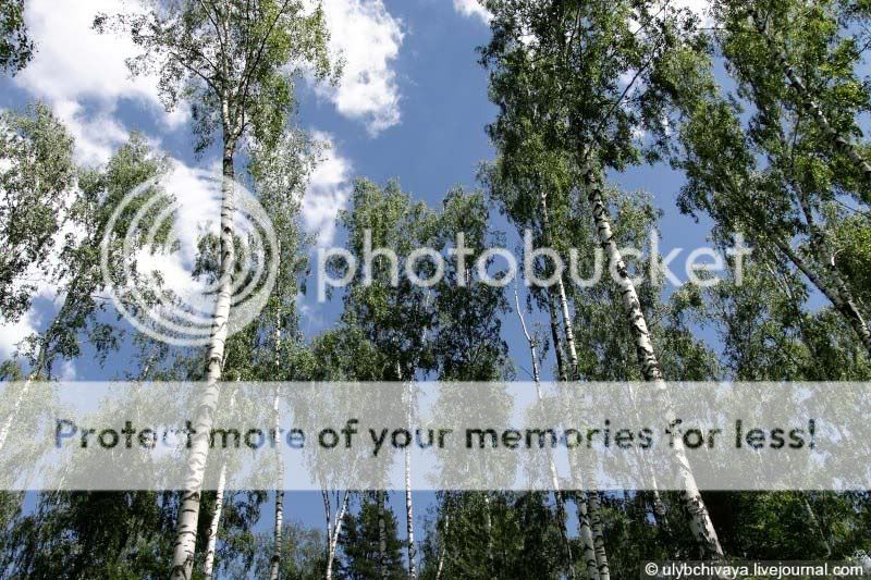 Выходные: ulybchivaya — LiveJournal