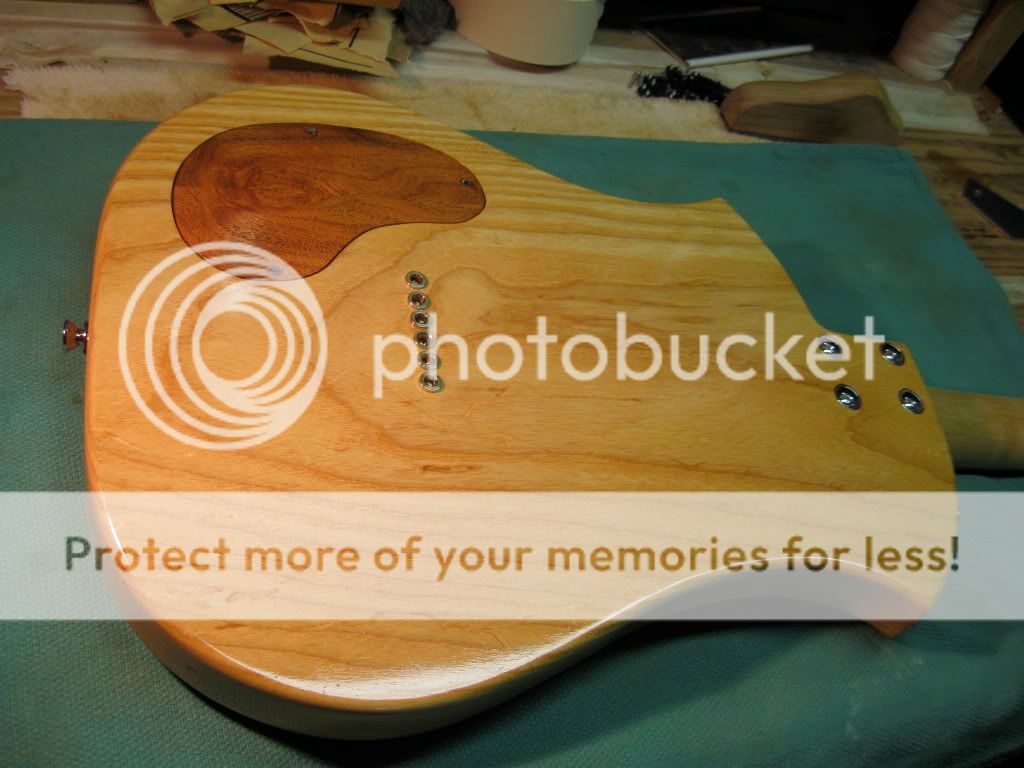 Cardinal Instruments | Page 34 | The Gear Page