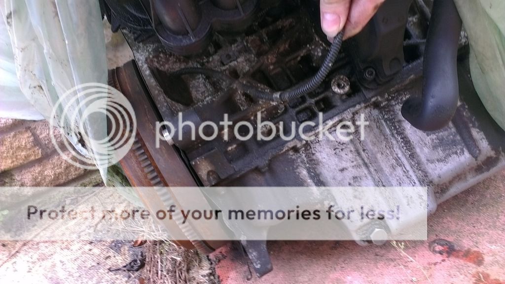 Crank sensor/trigger wheel options - AEE - Engine, Transmission and ...