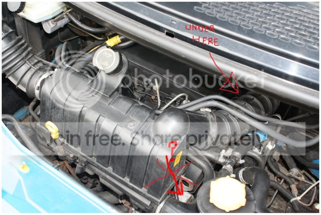 Ford Transit Forum • View topic - EGR Valve...